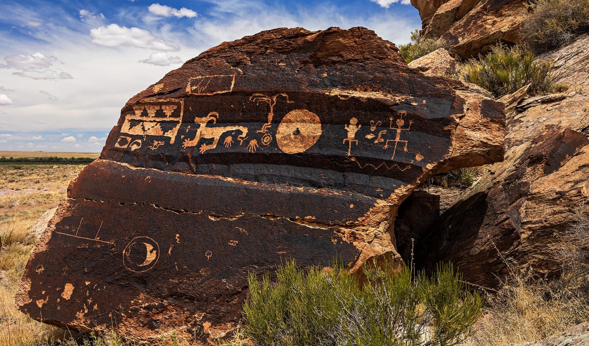 Petrified Forest Petrified Forest National Park (Official GANP Park